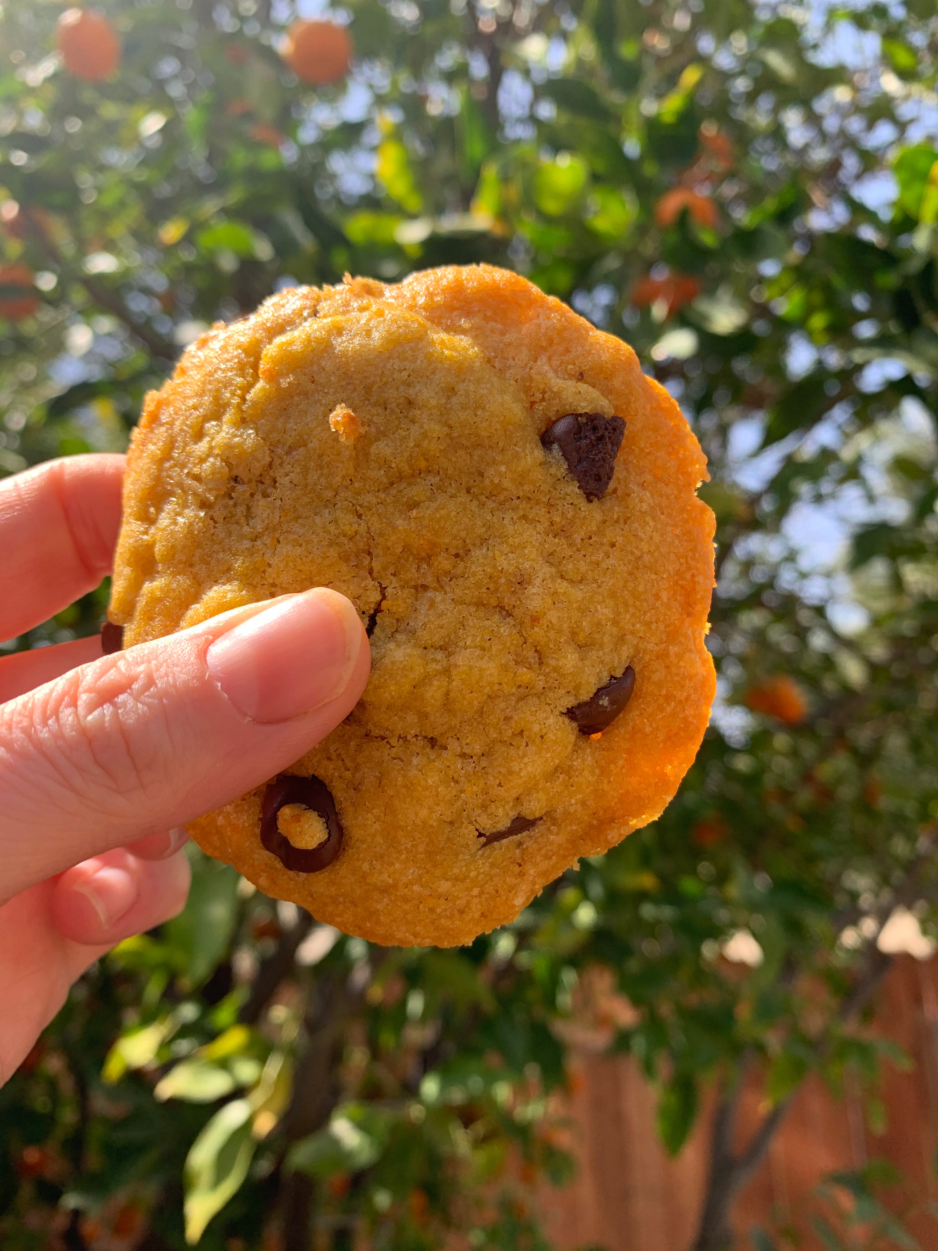 Tangerine Chocolate Chip Cookies – SWEET POPPY HOMESTEAD